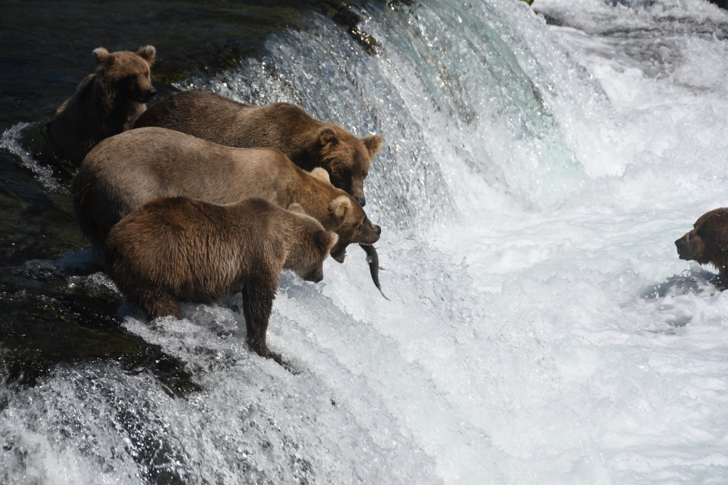 Studying His Word and His Works – Math, Science, and Christianity